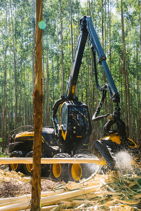 The cut-to-length method - Ponsse